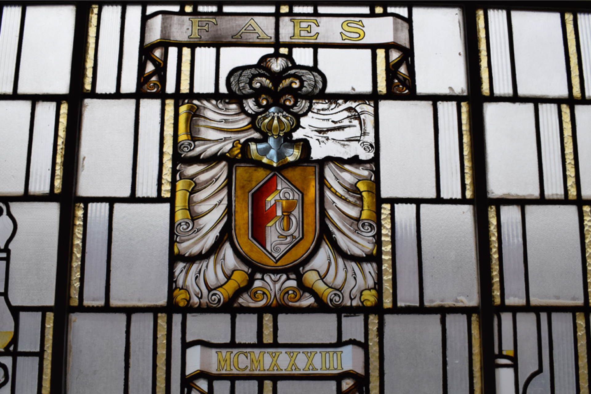 Faes Farma Portugal - Promovemos saúde e bem-estar